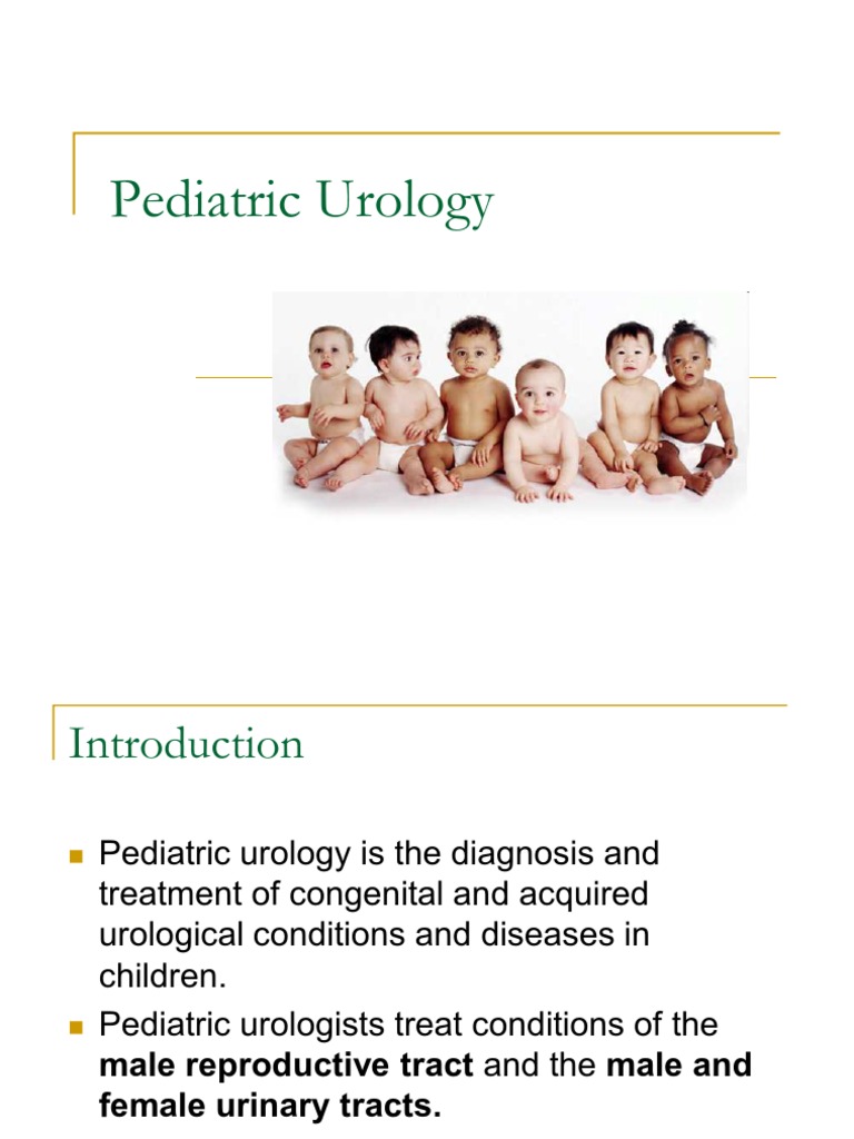 Pediatric Urology H | PDF | Genitourinary System | Urology