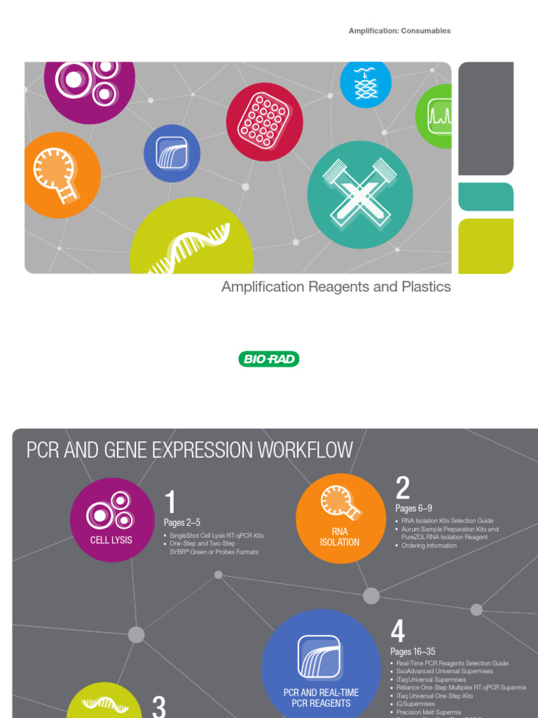 Biorad Complete PCR Workflow Literature | PDF | Real Time Polymerase ...