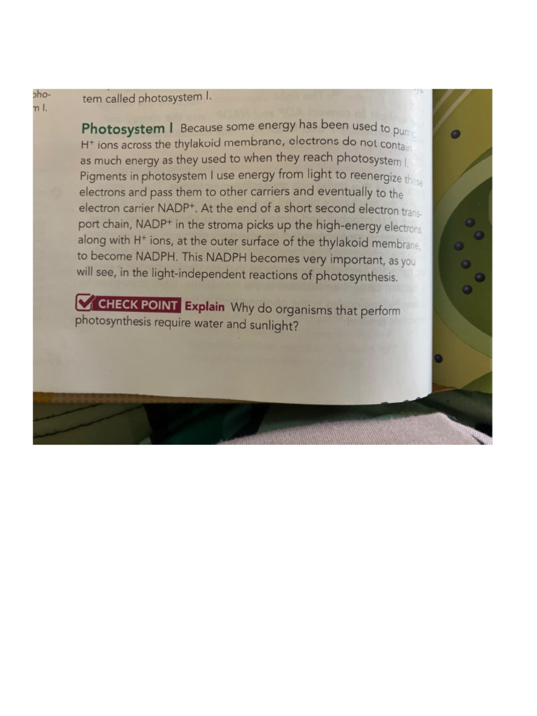 Miller and Levine Biology Book | PDF