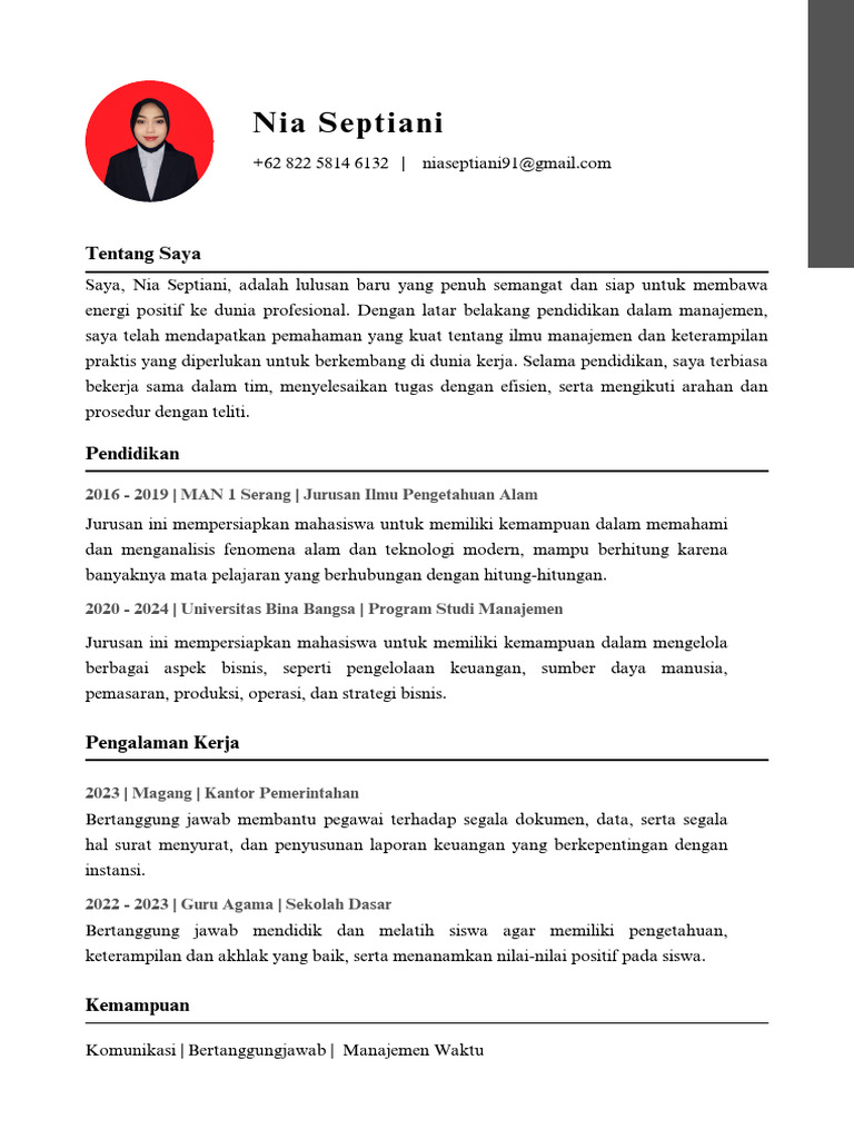 White Gold Elegant Minimalist Data Analyst Resume CV A4 Printable | PDF