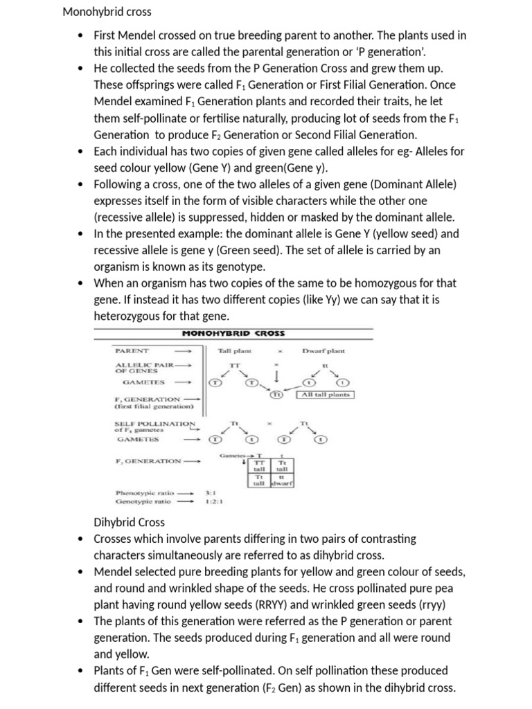 Monohybrid Cross | PDF