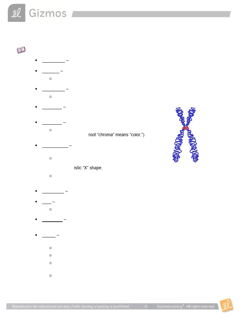Cell Division Vocab | PDF