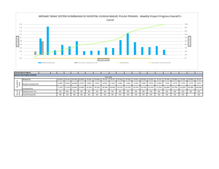 S Curve Template 13012025 | PDF