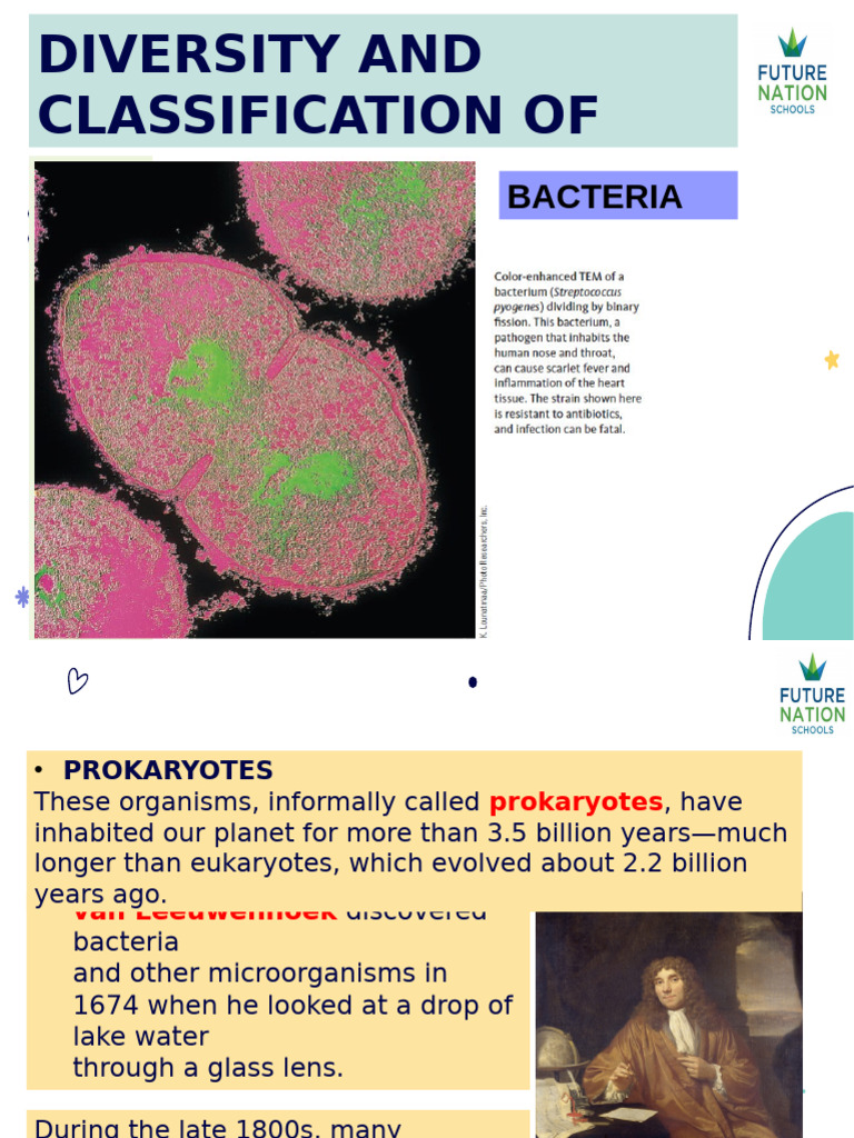 Biodiversity and Classification of Micro - Organisms - Bacteria | PDF ...
