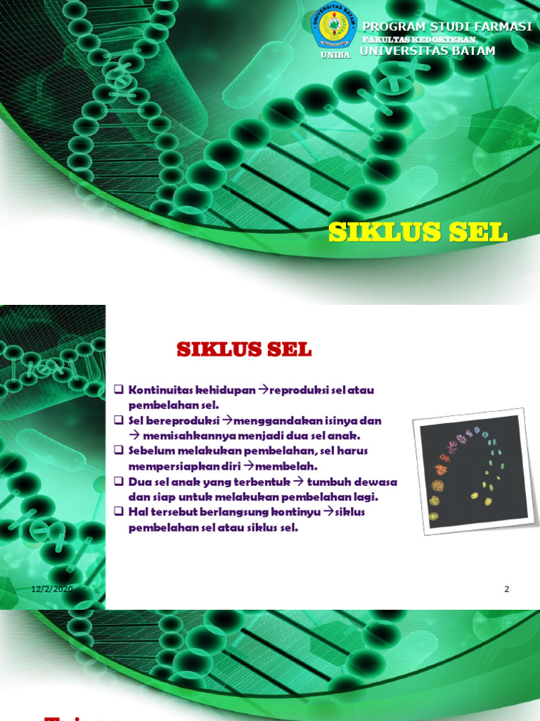 Kuliah Ke 8 Siklus Sel | PDF