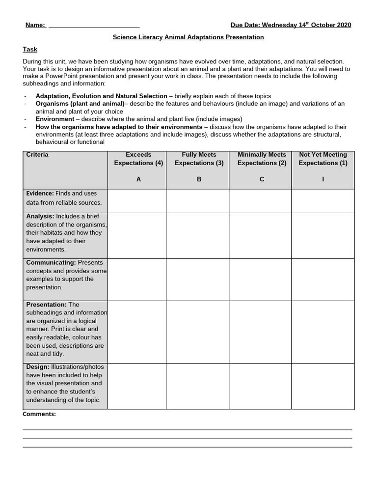 Animal Adaptations Project | PDF