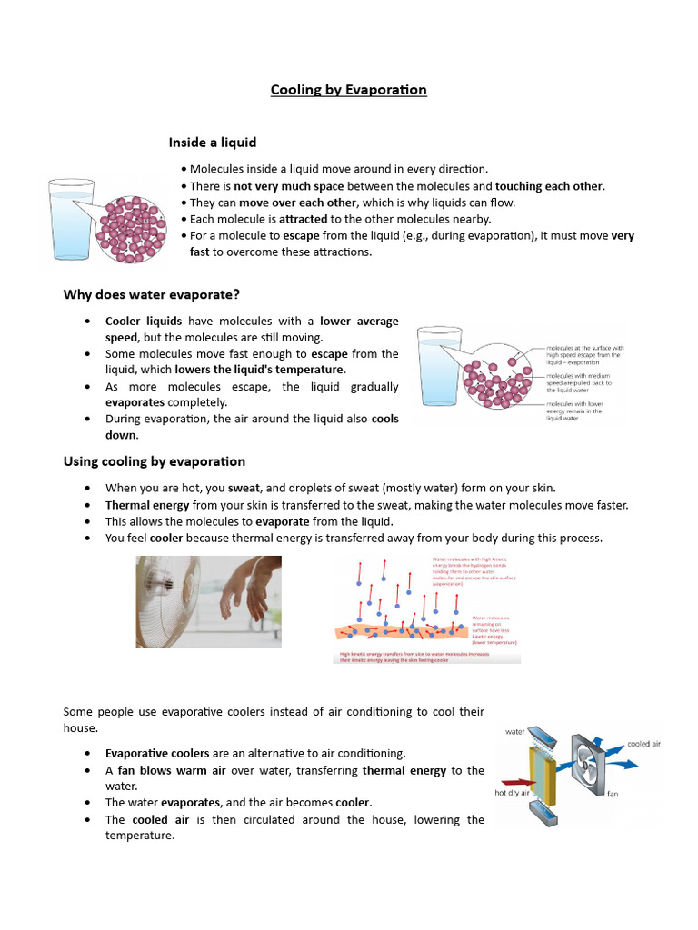 Evaporation: The Cooling Effect Explained | PDF