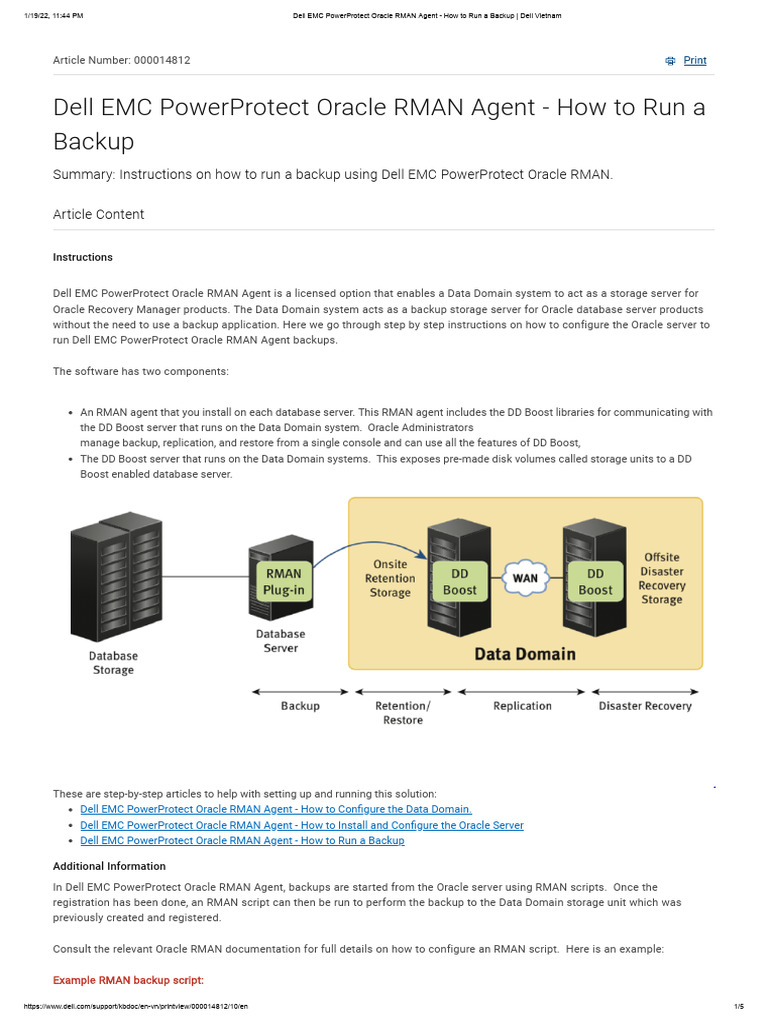 Dell EMC PowerProtect Oracle RMAN Agent - How To Run A Backup - Dell Vietnam | PDF | Backup ...