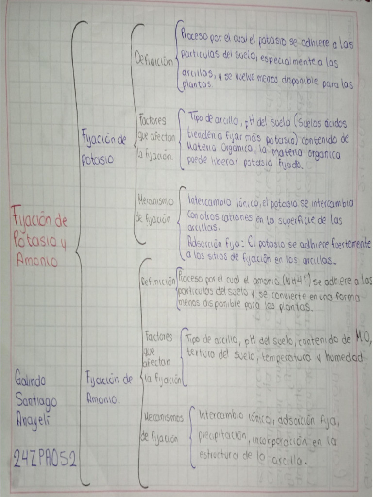 Fijacion de Amonio y Potasio | PDF