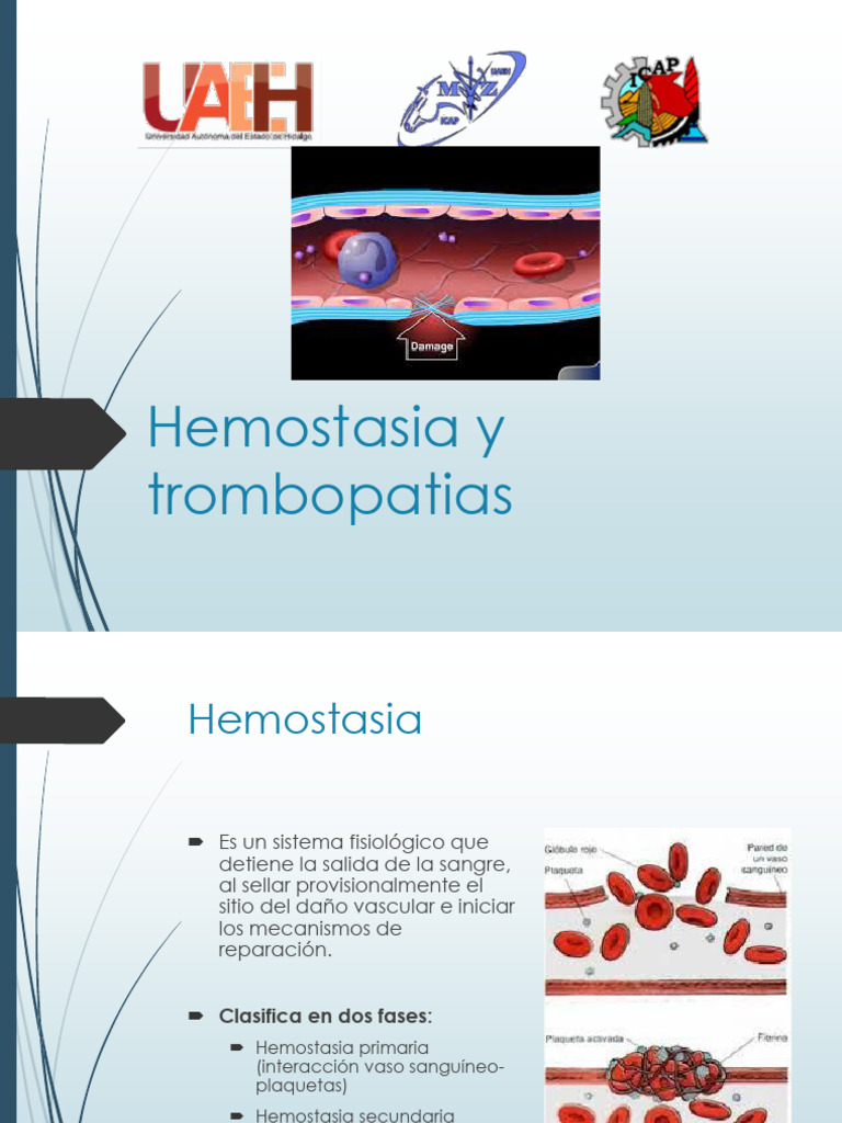 HEMOSTASIA | PDF | Hemostasia | Plaqueta
