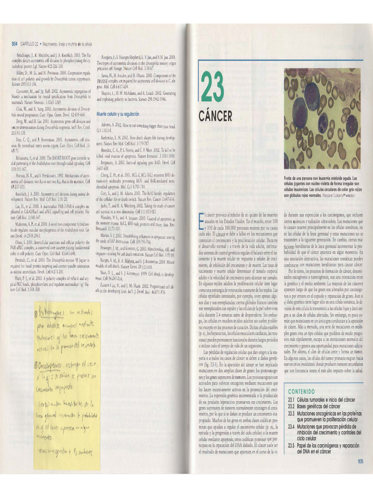 Cancer - Lodish - Biología Molecular y Celular (5ta Edición) | PDF