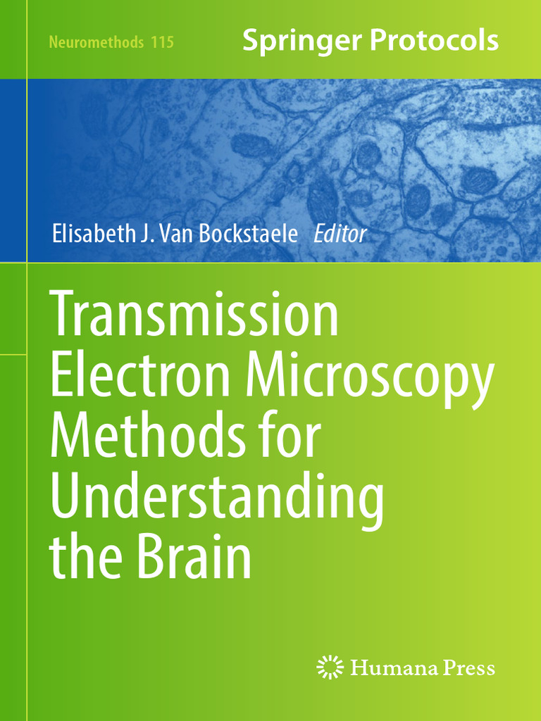 Transmission Electron Microscopy Methods For Understanding The Brain (Elisabeth J. Van ...