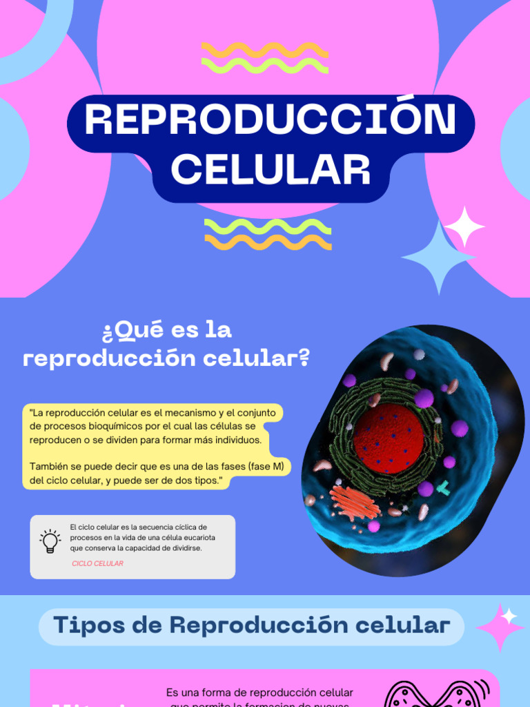 Presentación Producción Celular | PDF | Mitosis | Mitosis