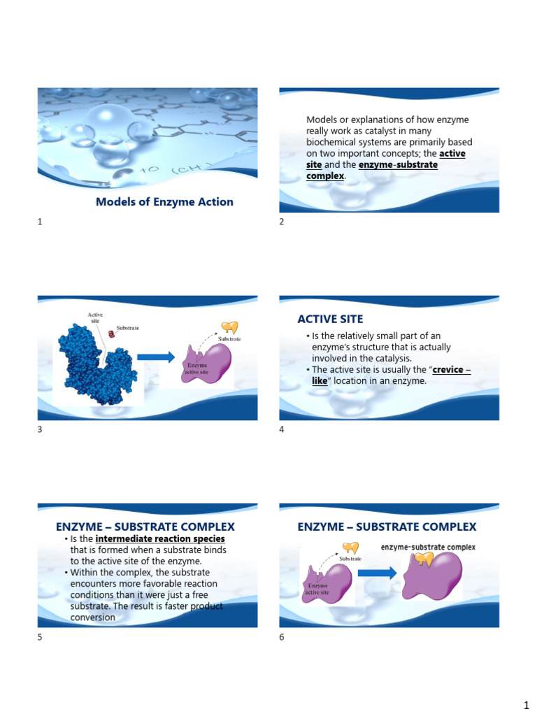 5-BIOLEC | PDF | Active Site | Enzyme