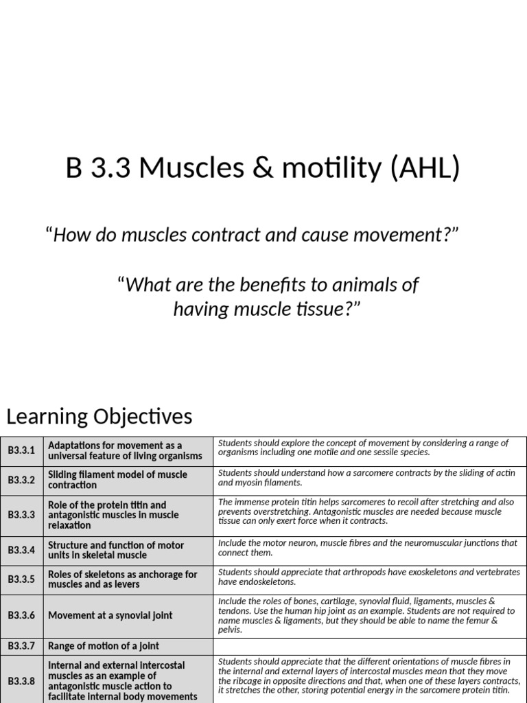 B 3.3 HL Muscles and Motility | PDF | Muscle Contraction ...