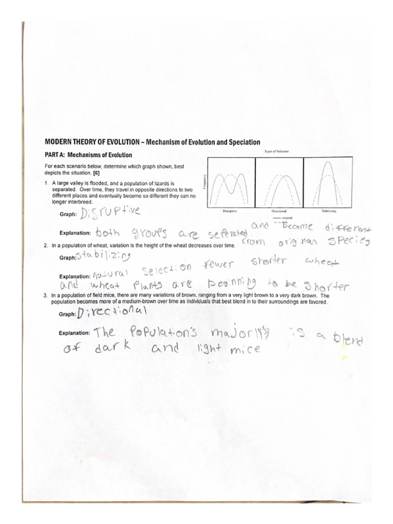 MODERN THEORY of EVOLUTION - Mechanism of Evolution and Speciation | PDF