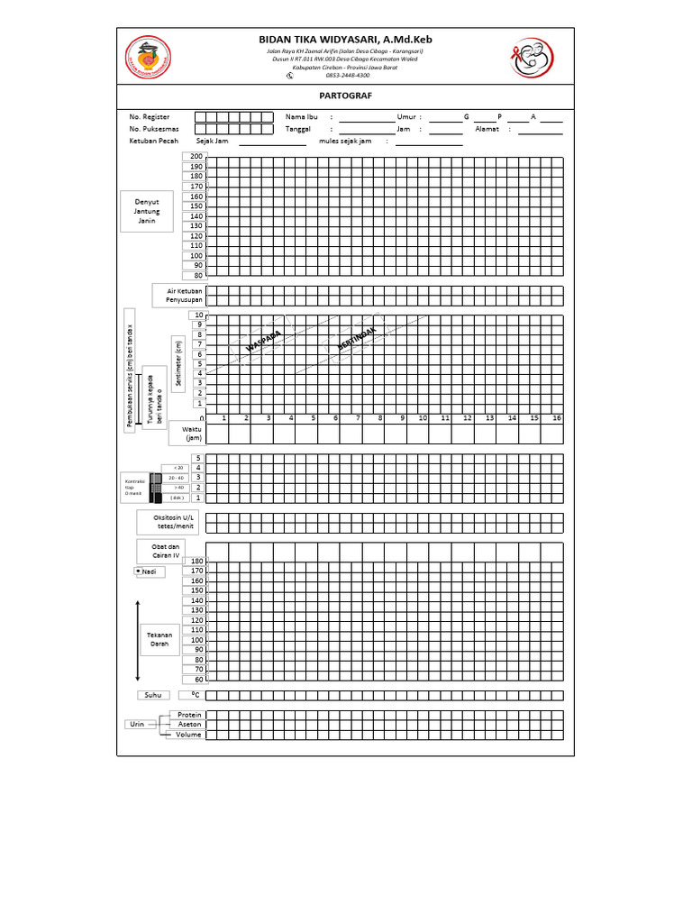 Format Partograf Persalinan Lengkap | PDF