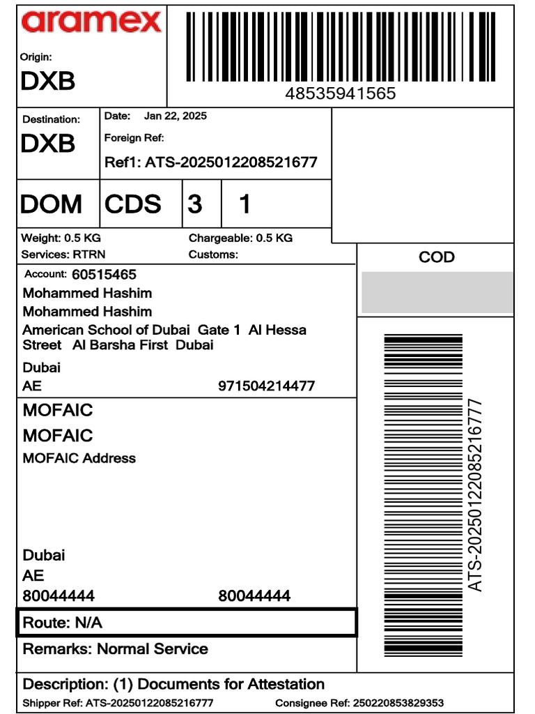 Aramex Label shipment 48535941565 request ATS-20250122085216777 | PDF