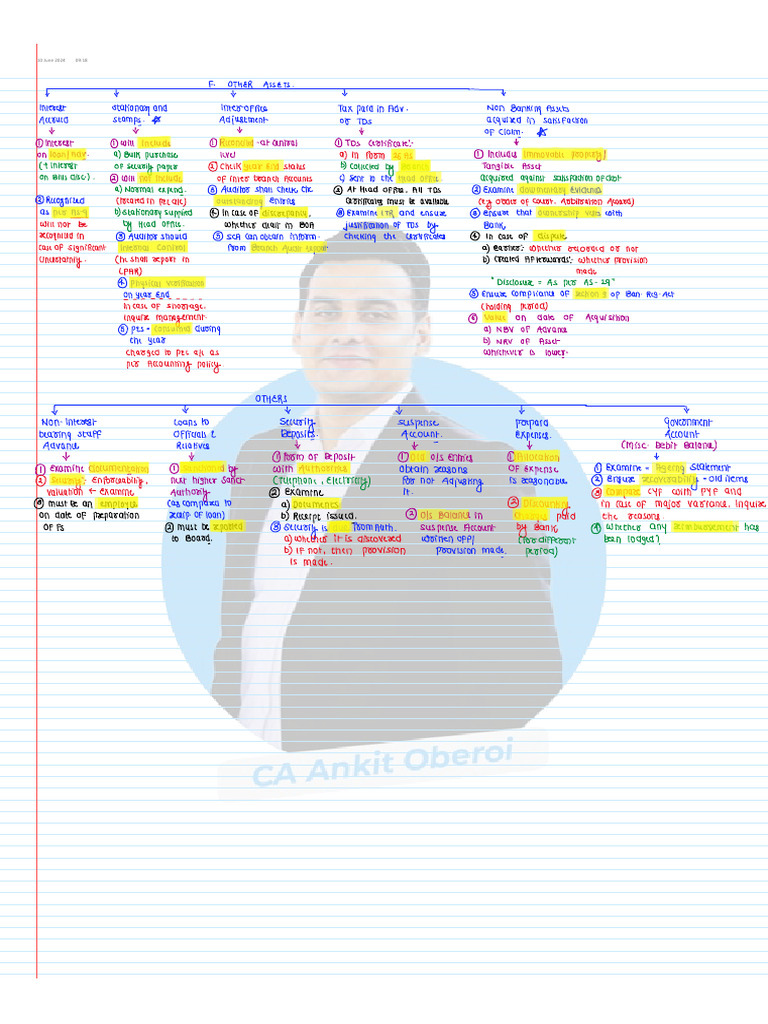 Bank Audit-Part 4 CA FINAl | PDF