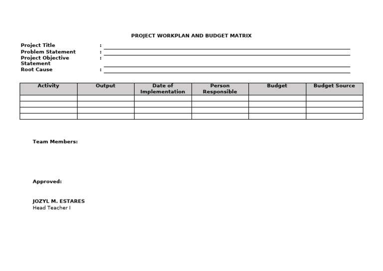 Project Workplan and Budget Matrix | PDF