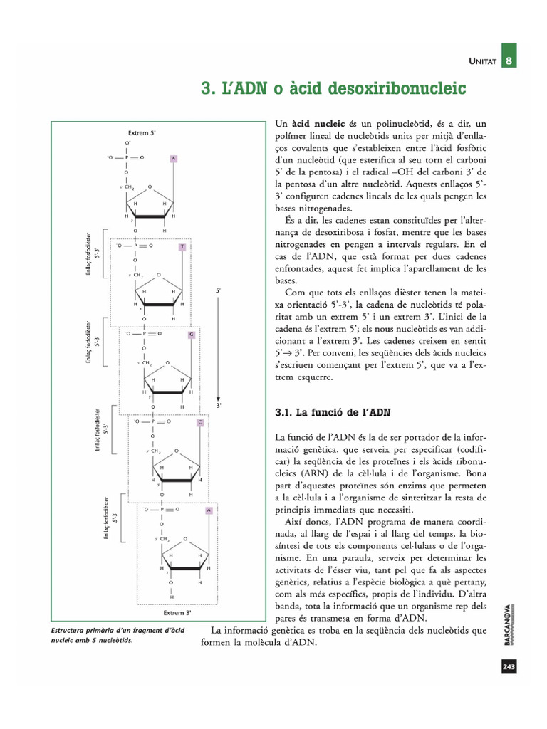 Bio àcids nucleics | PDF
