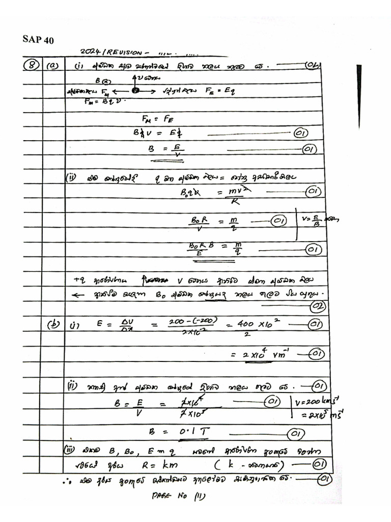 Sap (40) Marking Scheme | PDF