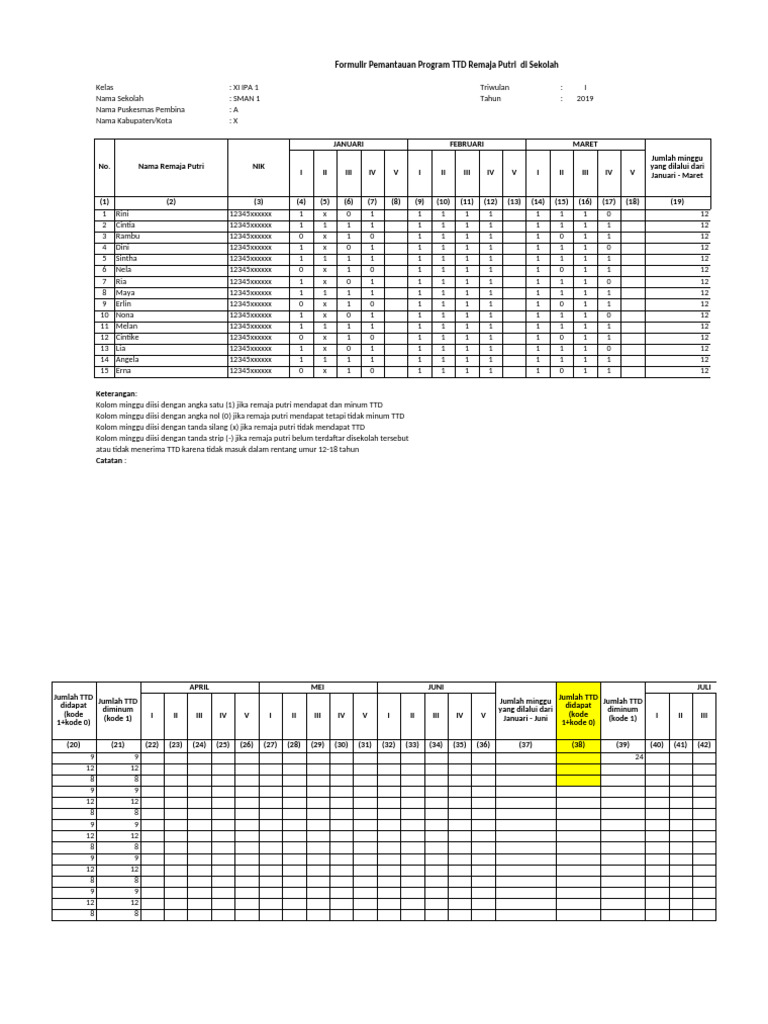 Contoh Pengisian Format Pelaporan TTD Remaja Putri | PDF