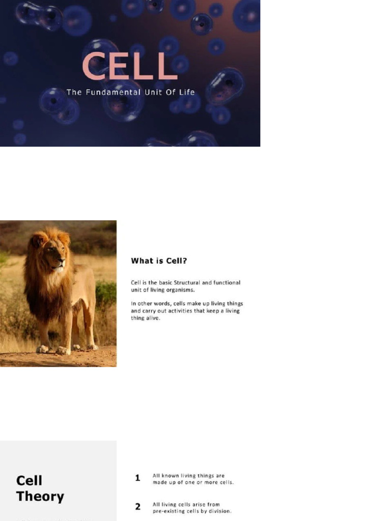 Cell Structure and Function | PDF