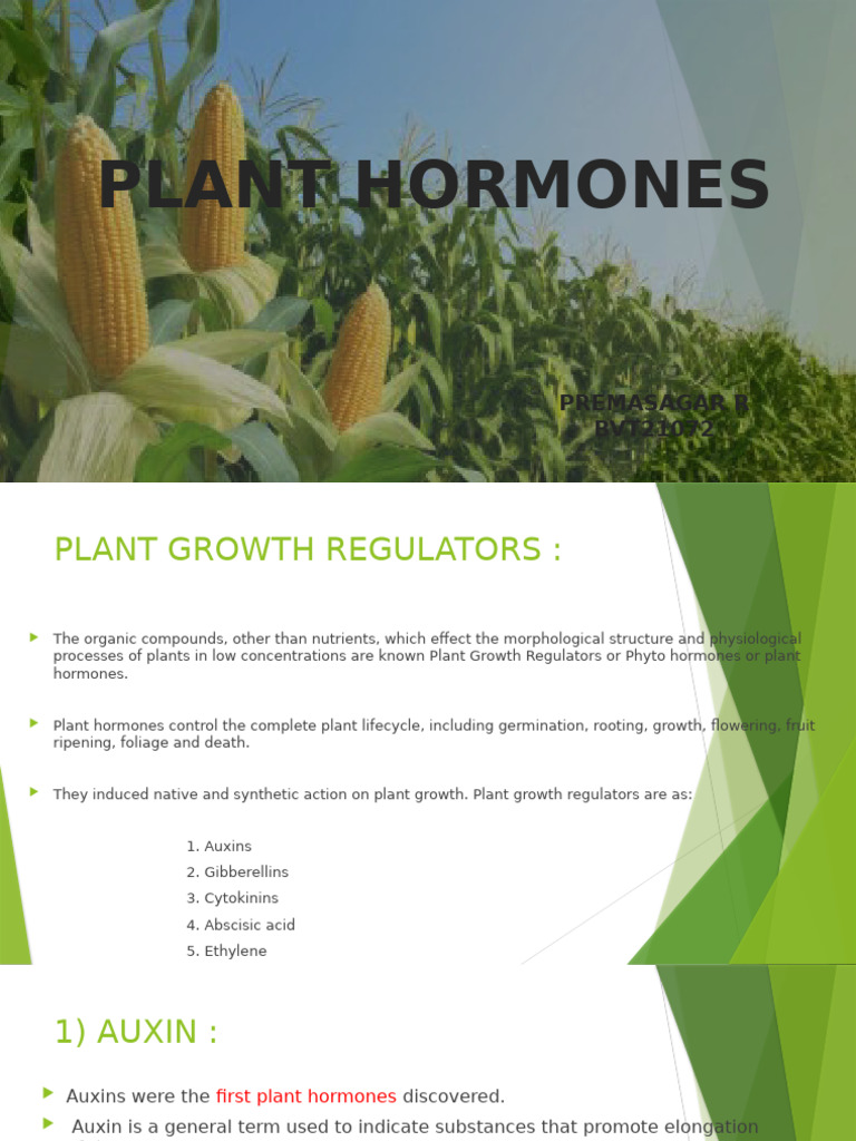 PLANT HORMONES | PDF | Plant Hormone | Auxin