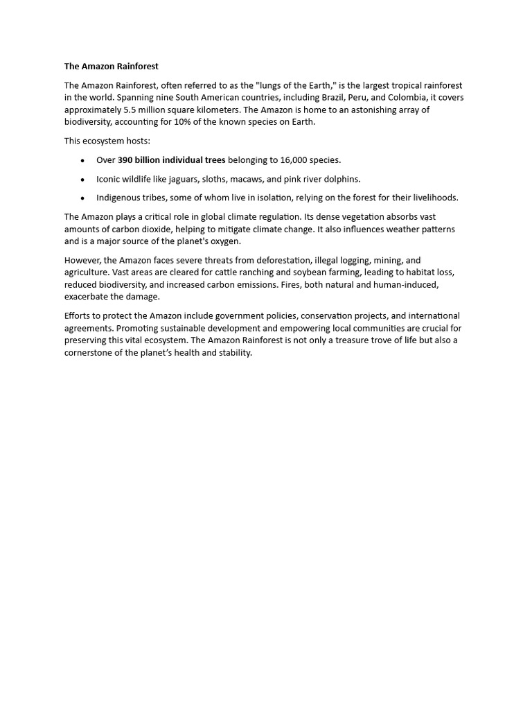 The Amazon Rainforest - Analysed Project | PDF