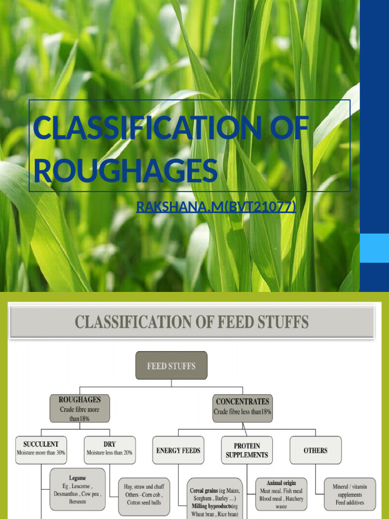 Classification of Roughages | PDF | Dietary Fiber | Diet & Nutrition