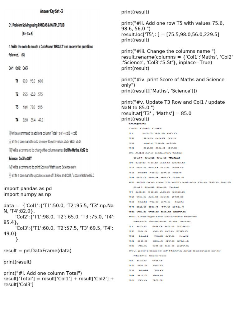 DataFrame Manipulation Guide | PDF