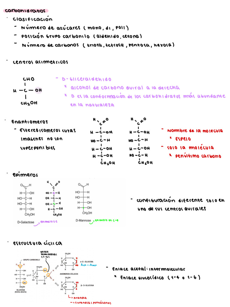 Resumen I1 | PDF | Enzima | La cinética de enzimas