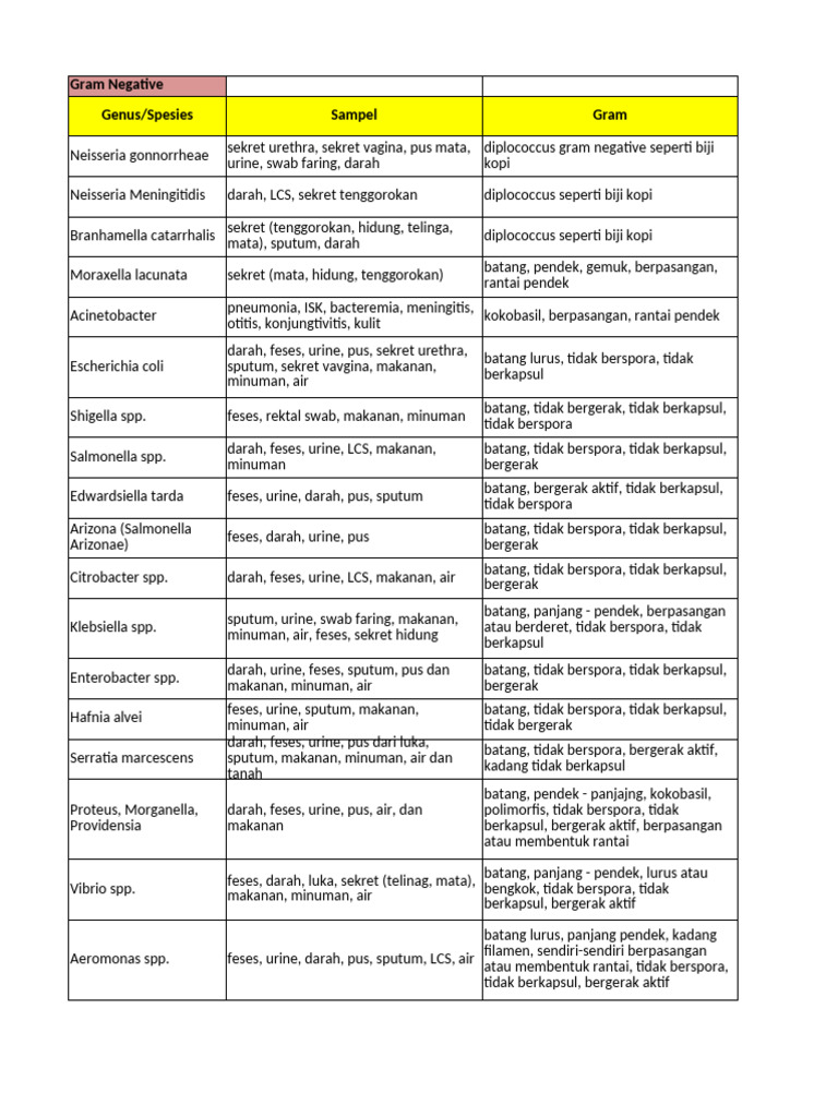 Identifikasi Bakteri 3 | PDF