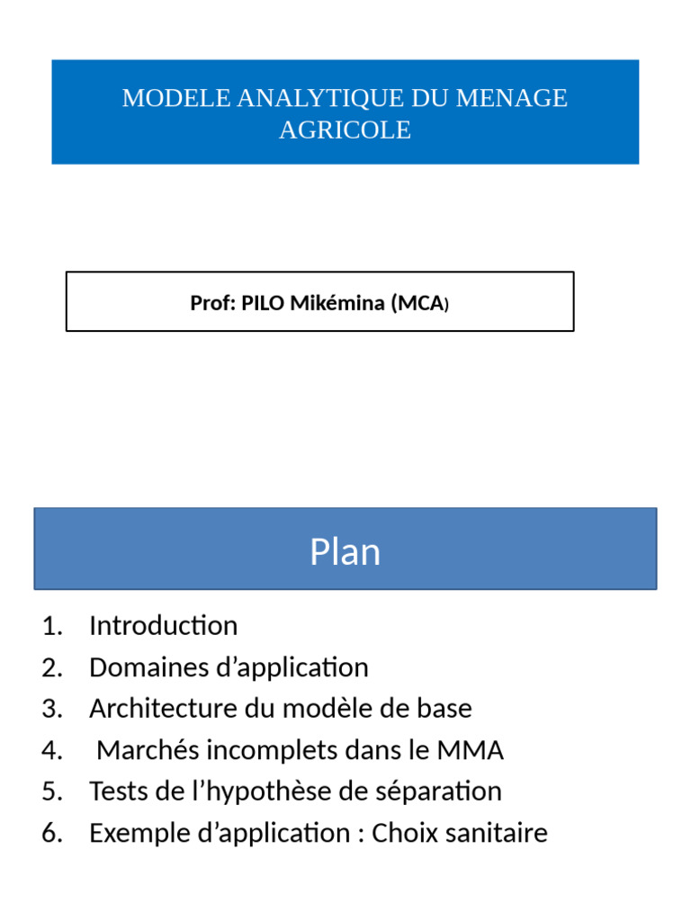 Modèle analytique du ménage agricole | PDF | Consommation (Économie) | Prix