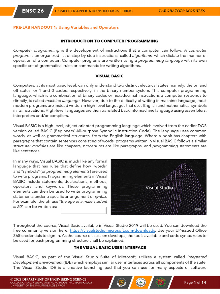 Visual Basic Programming Basics | PDF | Variable (Computer Science ...