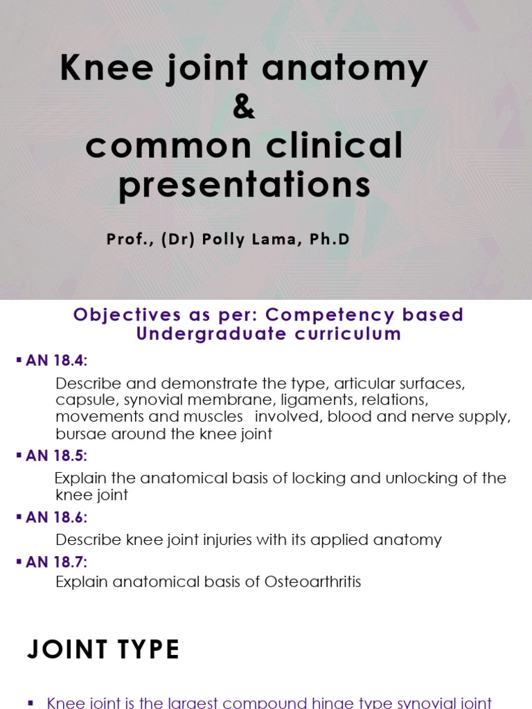 Knee Joint | PDF | Knee | Human Leg