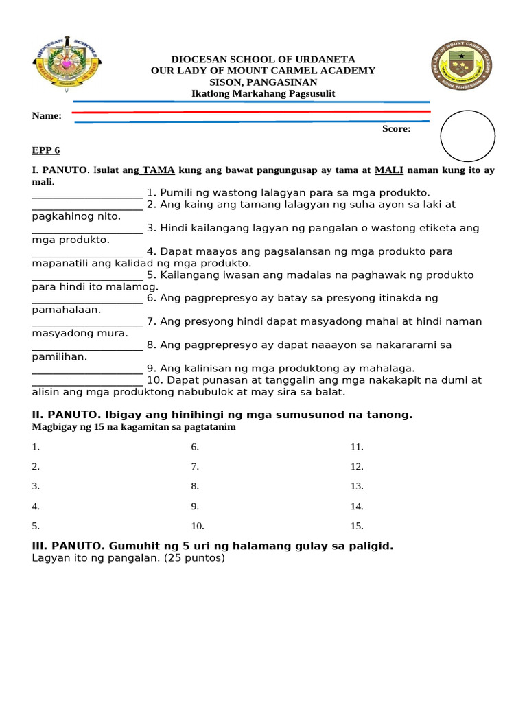 3RD Periodical Exam Epp Grade 6 | PDF