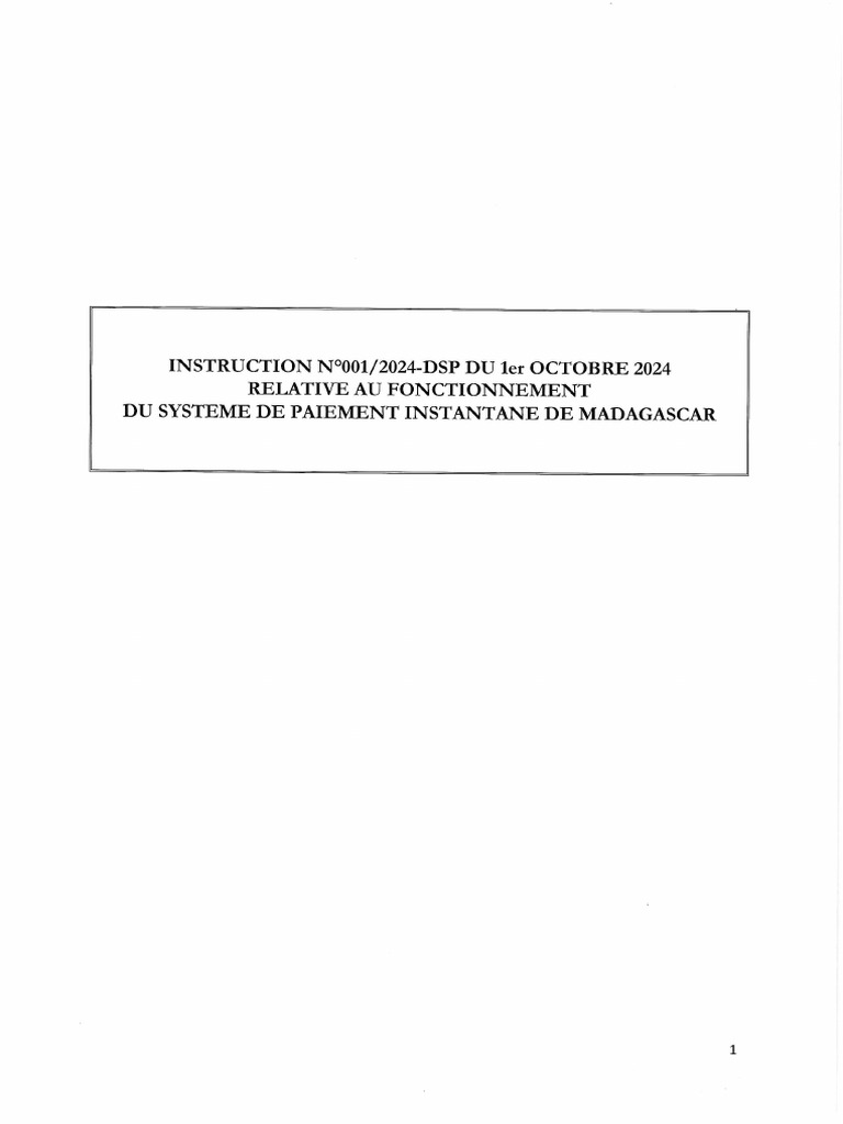 Instruction N°001 2024 DSP Du 1er Octobre 2024 Sypa Instantane | PDF