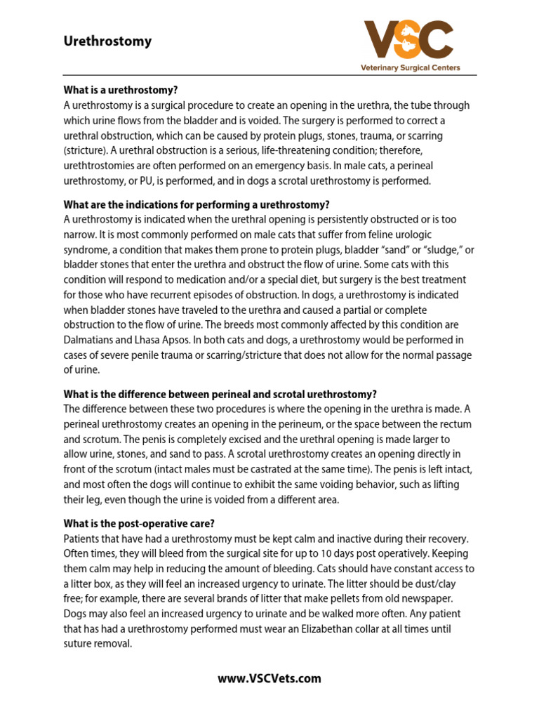 Specialities - Surgery - Procedures - Soft Tissue - Urethrostomy 416 ...