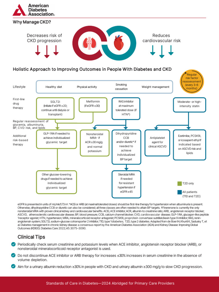 CKD Holistic Approach Algorithm | PDF | Chronic Kidney Disease | Diabetes