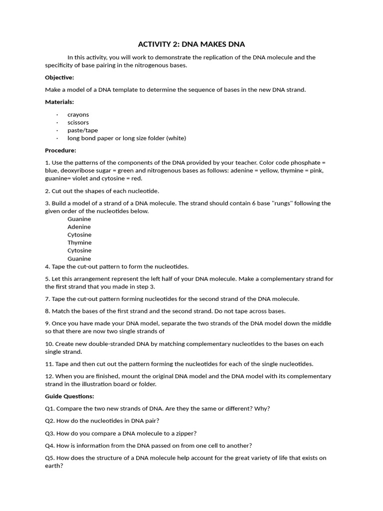 Activity 2 - Dna Makes Dna | PDF | Dna | Base Pair