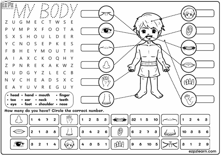 Body Parts Identification Quiz | PDF