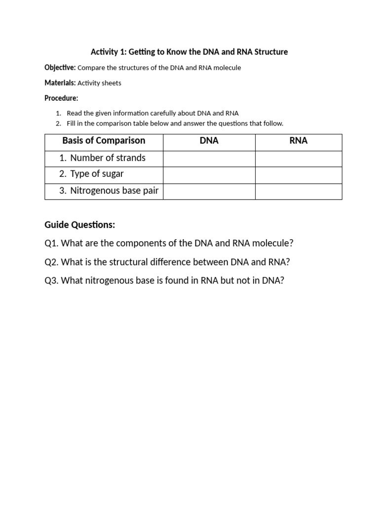 DNA vs RNA Structure Comparison Activity | PDF