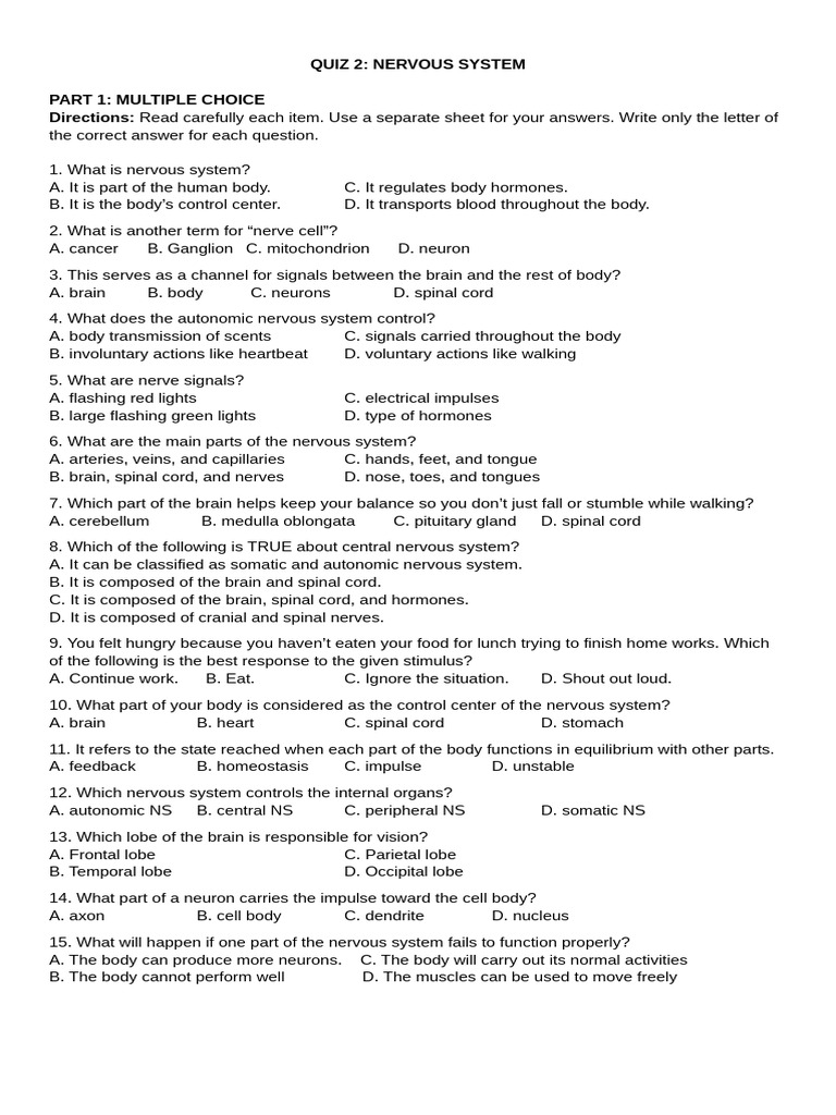 Quiz 2- Nervous System | PDF | Nervous System | Central Nervous System