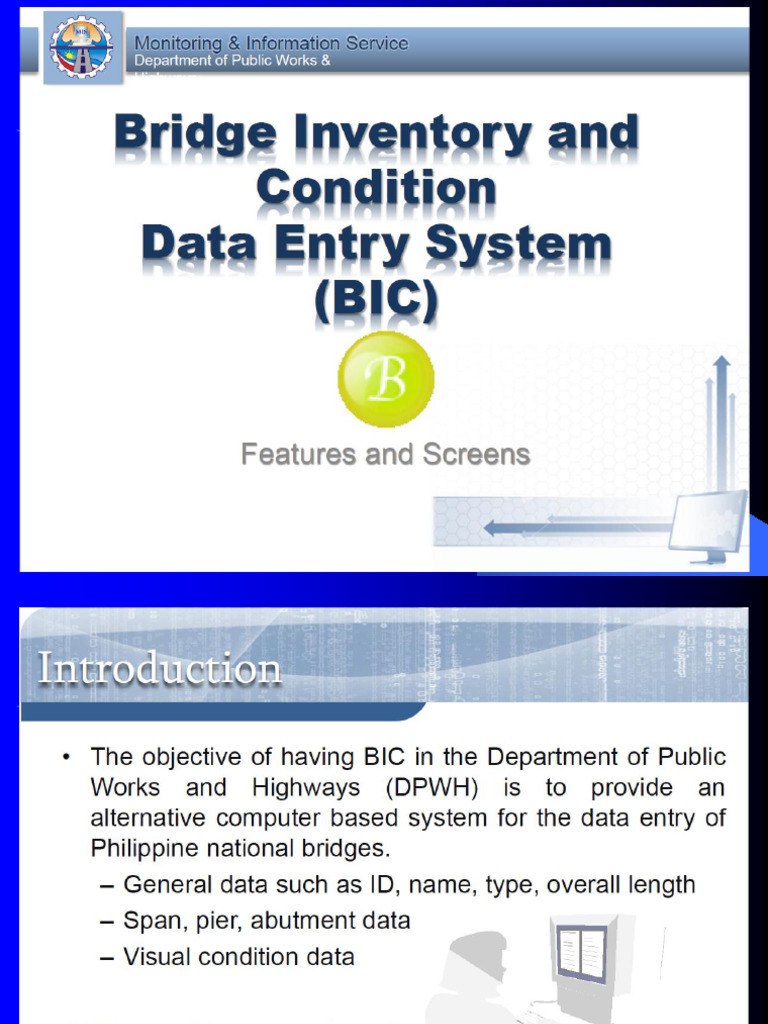 BIC Presentation | PDF