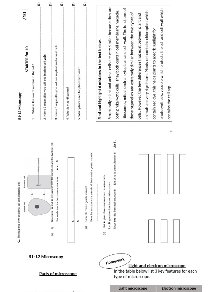 Fundation Worksheet Cells L1&2 | PDF | Cell (Biology) | Cytoplasm