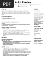 Erik Cupsa: Software Developer Resume | PDF | Postgre Sql | Microsoft Azure