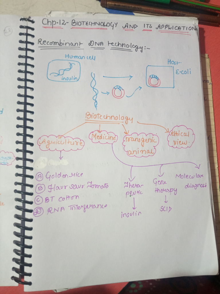 Class XII - BiologyChp.12.Biotechnology and It's Applications | PDF