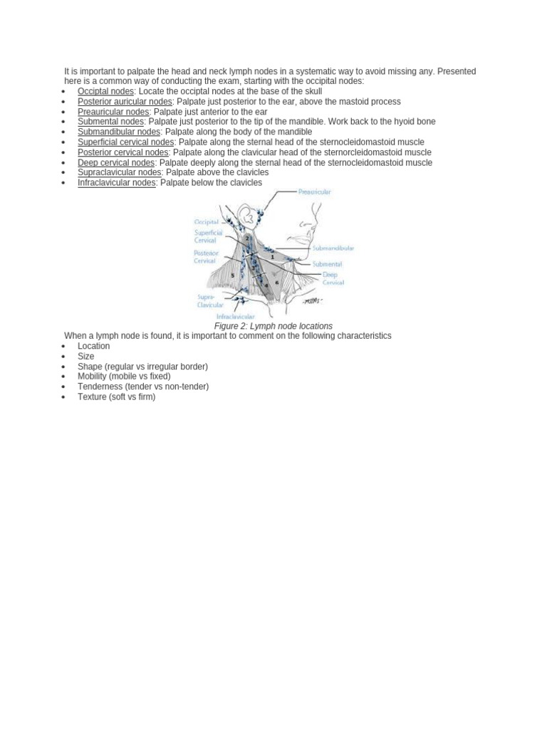 Lymph Node Asessment | PDF